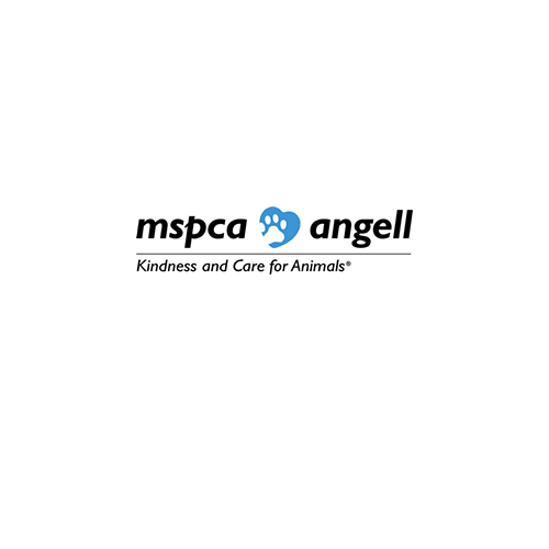 MSPCA-Angell Car Donation Program
